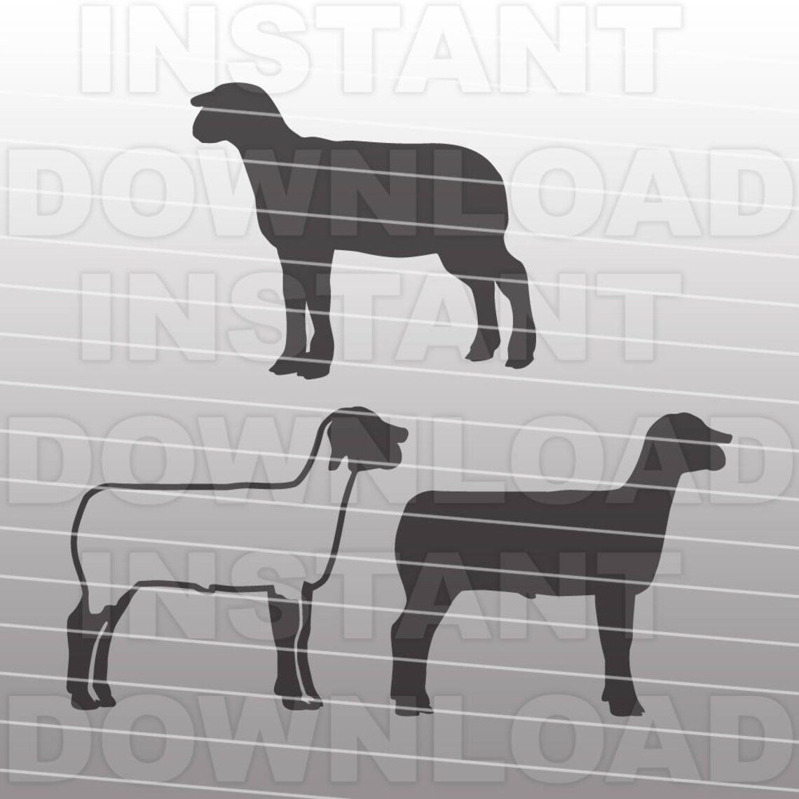 Show Sheep Svg,livestock SVG File,cutting Template-vector Clip Art for ...