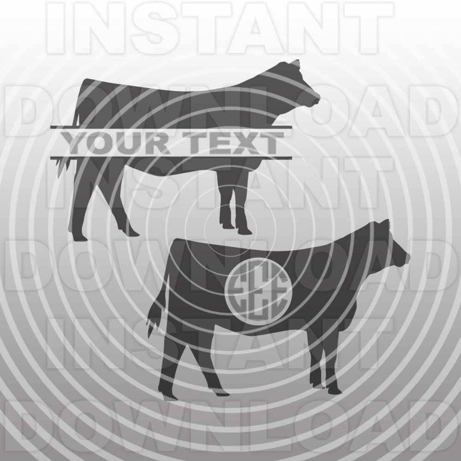 Show Heifer SVG File,heifer Monogram Svg,cow Svg,livestock SVG -vector ...