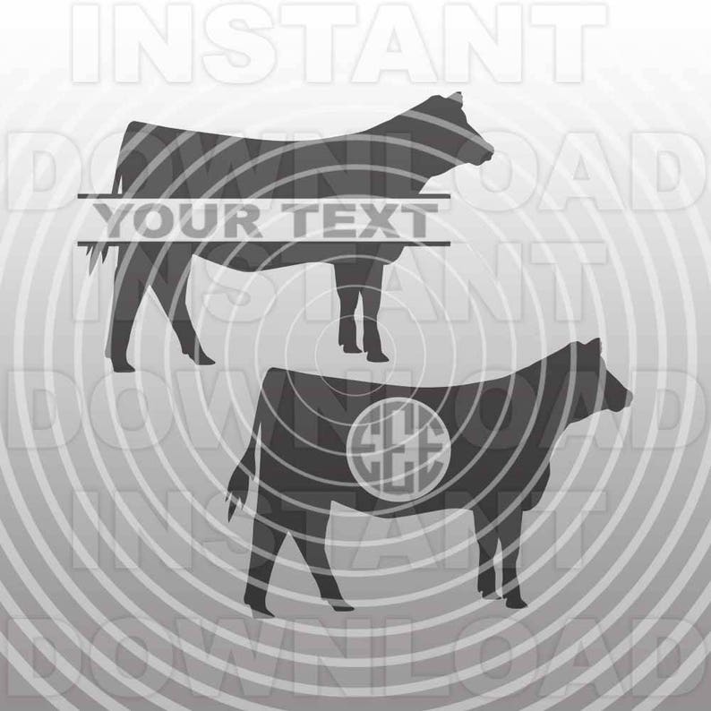 Show Heifer SVG File,heifer Monogram Svg,cow Svg,livestock SVG -vector ...