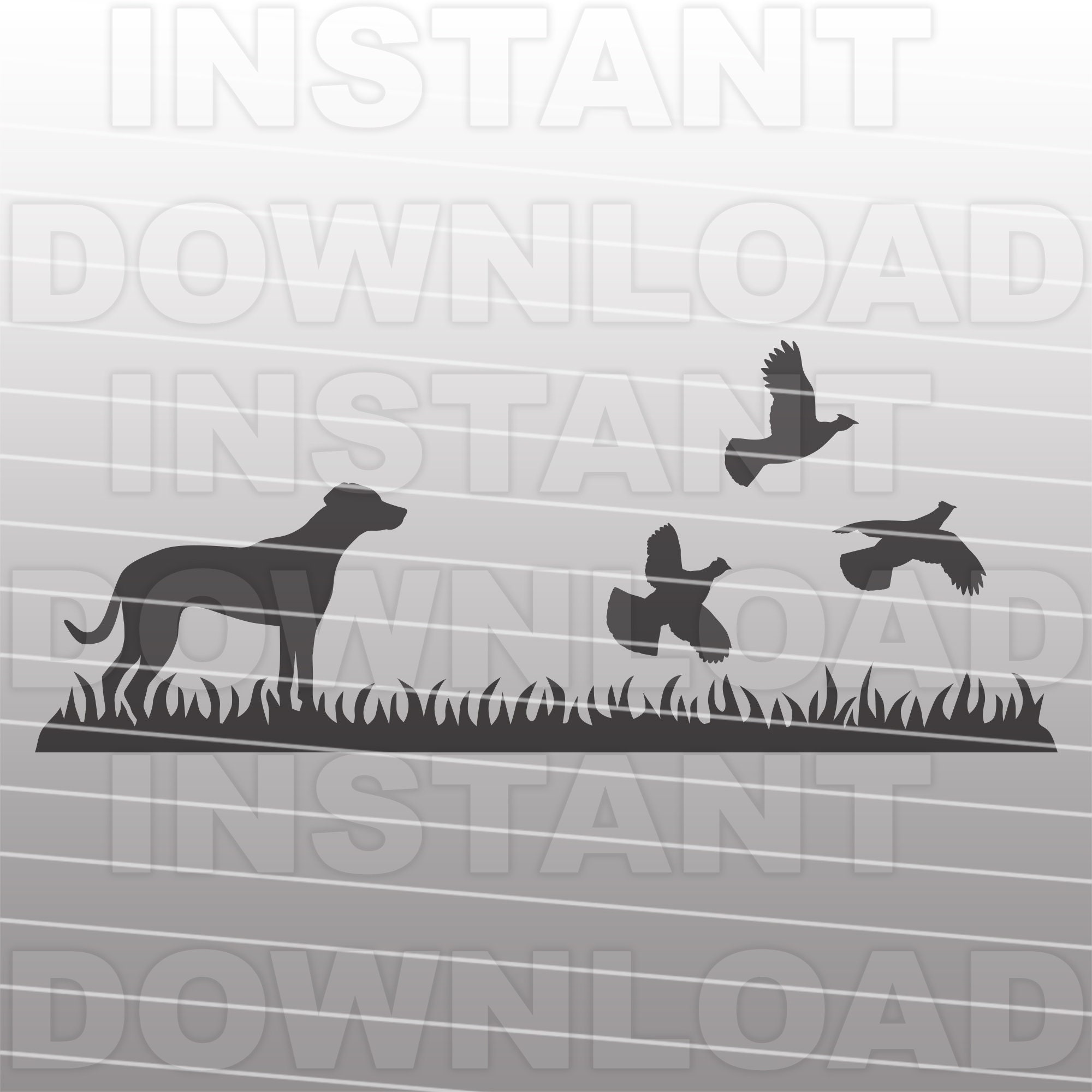 Labrador Retriever Hunting Deer