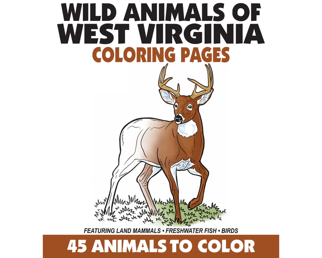 45 Wild Animals of West Virginia Coloring Pages Book,fish + Birds ...