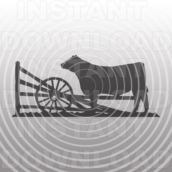 Show Steer SVG Filecattle Ranch Svglivestock Svgfarm Scene | Etsy