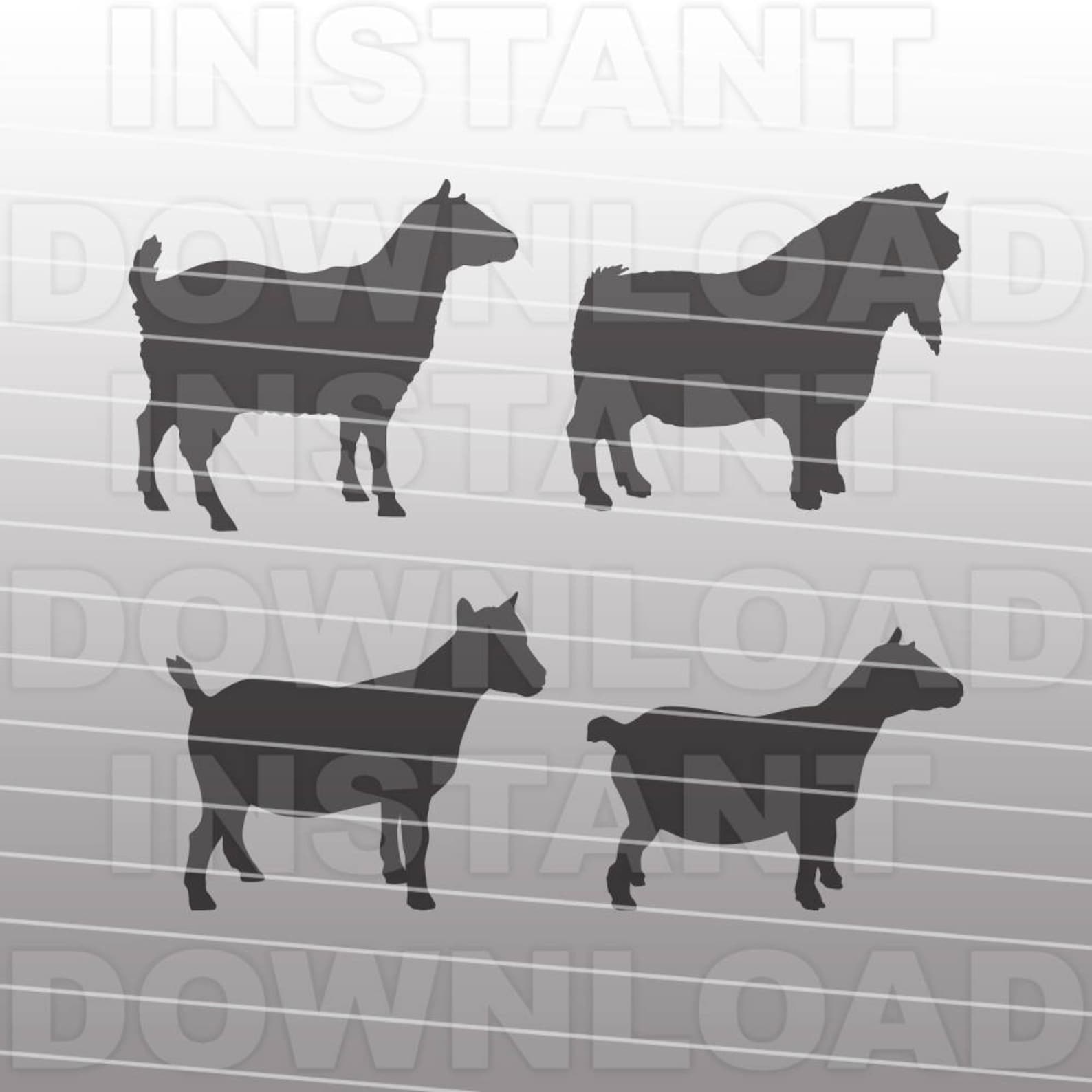 Pygmy Goats SVG File,livestock SVG File,farm Goat Svg -commercial ...
