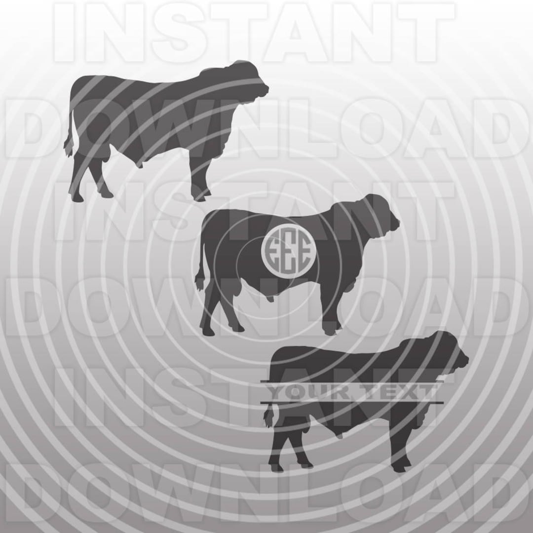 Brangus Bull SVG File,livestock Svg,farm Animal SVG File-cutting ...