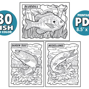 30 Fish of Michigan Coloring Pages Book, Fishing Coloring Pages, Adults ...