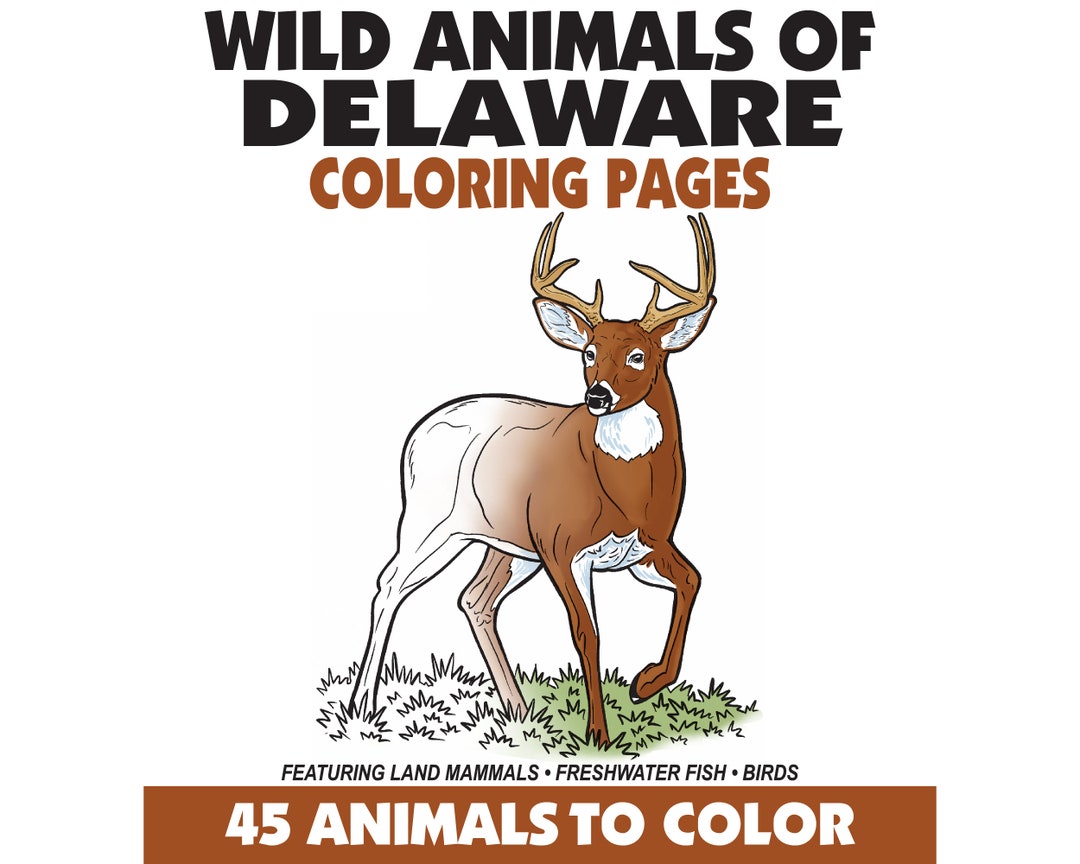 45 Wild Animals of Delaware Coloring Pages Book,fish + Birds + Mammals ...
