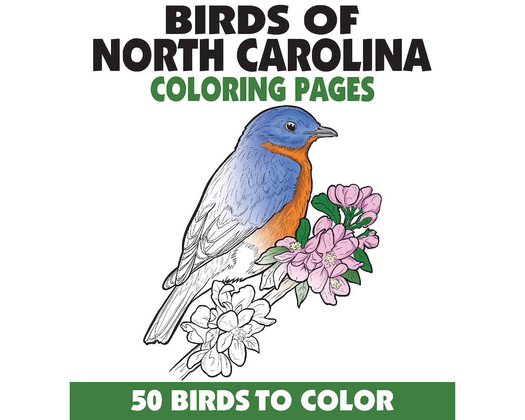 50 Birds of North Carolina Coloring Pages Book,birdwatching Coloring ...