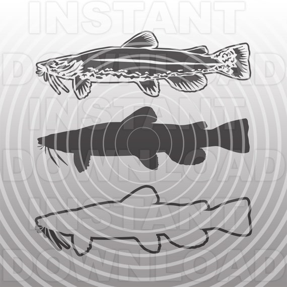 Fishing SVG Filecatfish Svgflathead Catfish SVG File vector | Etsy