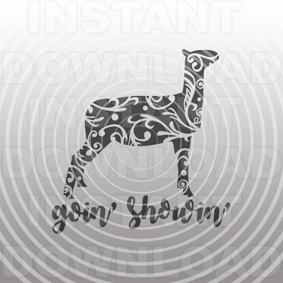 Mostrar Silueta De Cordero 741 Jesus Cordero Stock Photos, High Res