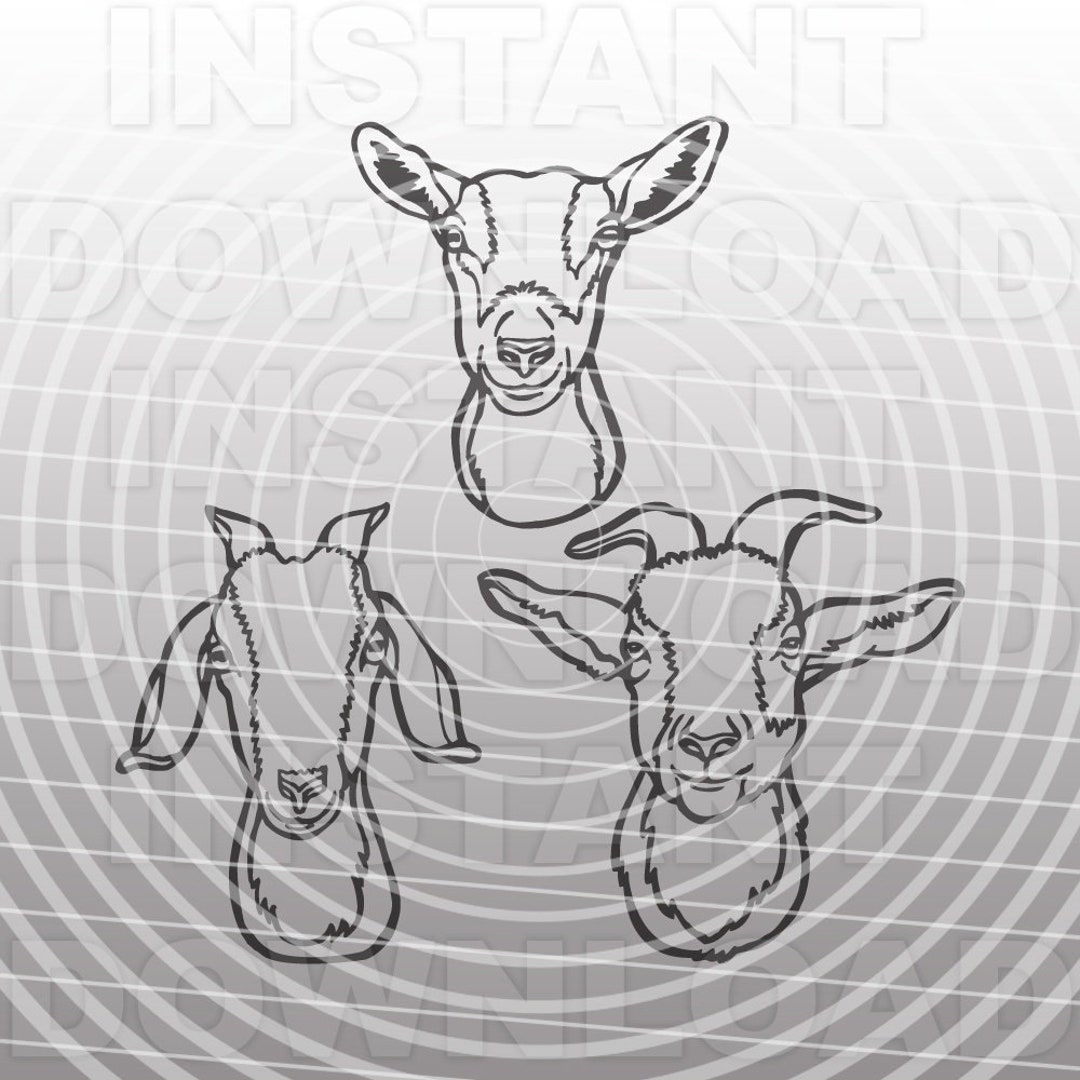 Goat Face SVG Bundle,stock Show Goat File,livestock Svg- Commercial ...