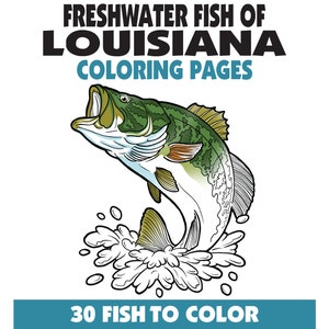 30 Freshwater Fish of Louisiana Coloring Pages Book, Fishing Coloring ...