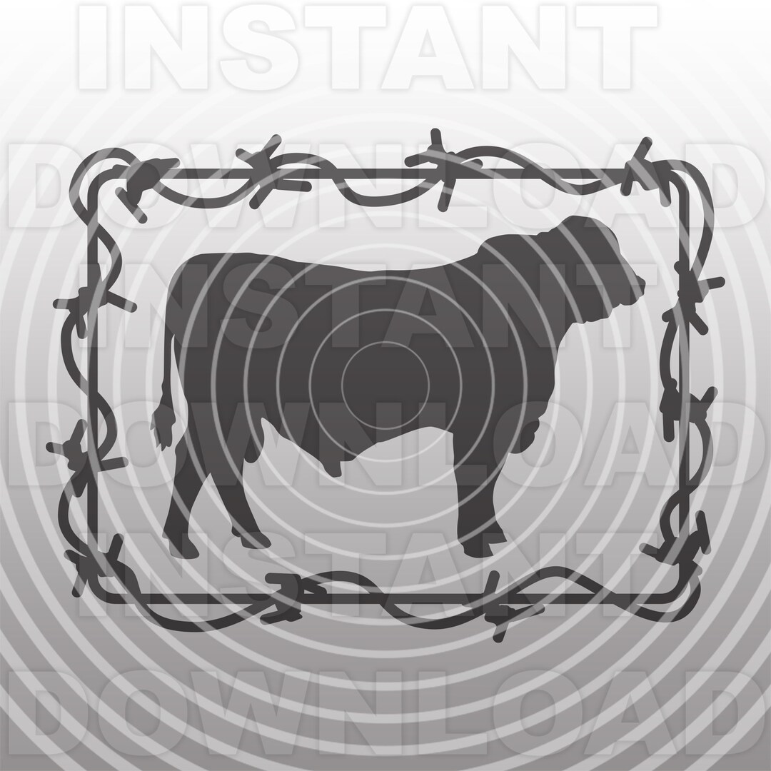Barbed Wire Brangus Bull SVG File,brangus Show Cattle Svg,farm Animal ...