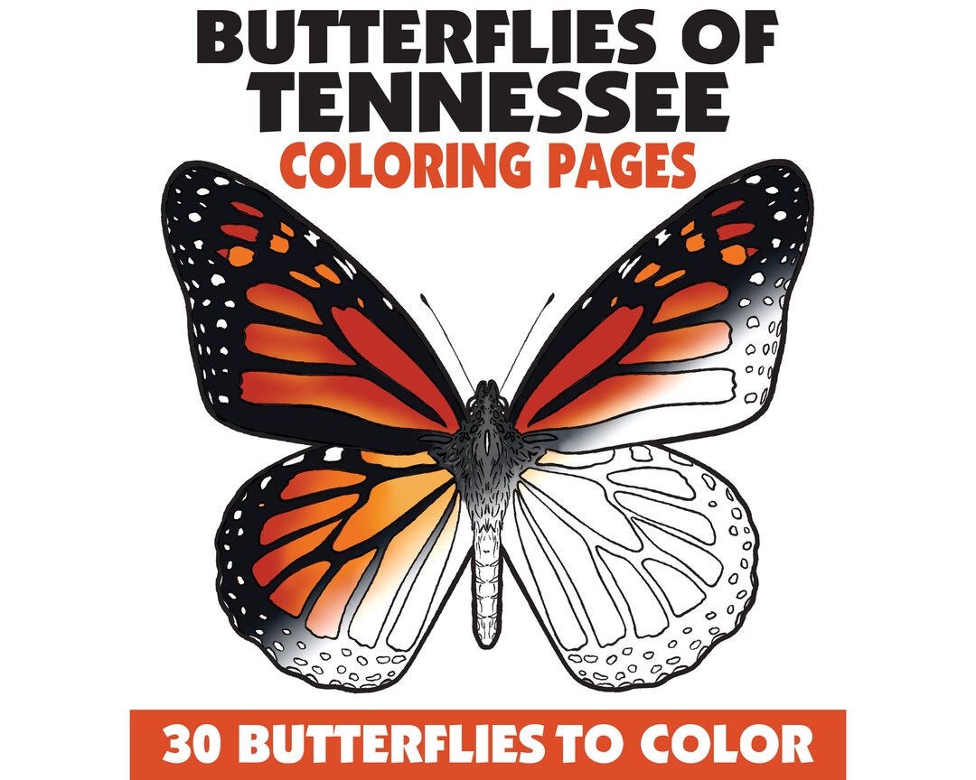 30 Butterflies of Tennessee Coloring Pages Book,butterfly Coloring ...