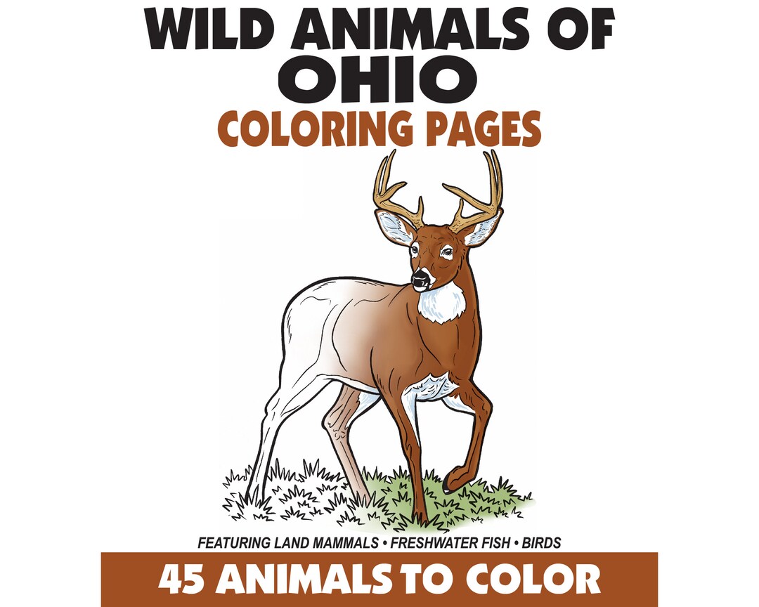 45 Wild Animals of Ohio Coloring Pages Book,fish + Birds + Mammals ...