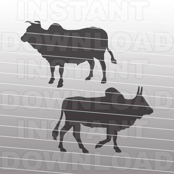 Zebu Profile SVG Fileminiature Zebu SVG Filecattle SVG | Etsy