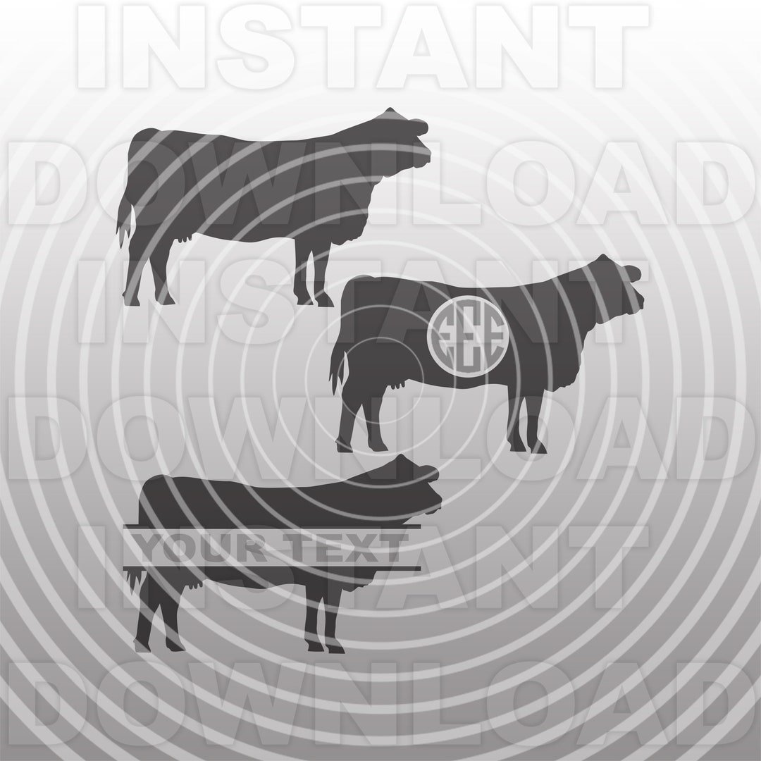 Brangus Show Cow SVG File,livestock Svg,farm Animal SVG -vector Clipart ...