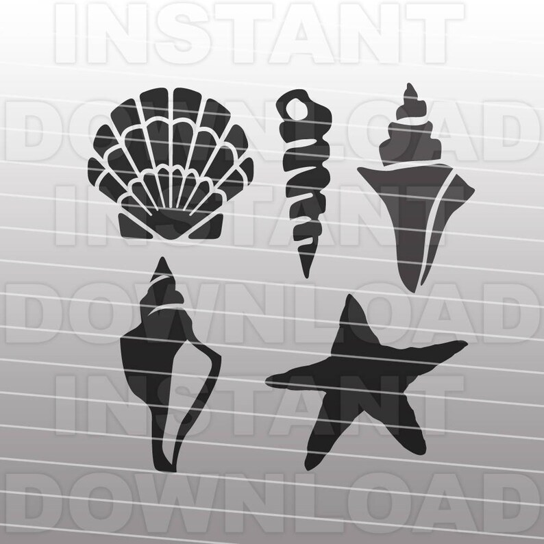 Shells SVG File Cutting Template-beach Clip Art for Commercial - Etsy