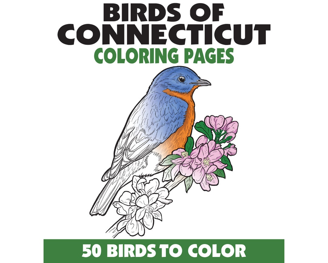 50 Birds of Connecticut Coloring Pages Book,birdwatching Coloring Pages ...
