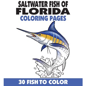 30 Saltwater Fish of Florida Coloring Pages Book,fishing Coloring Pages ...