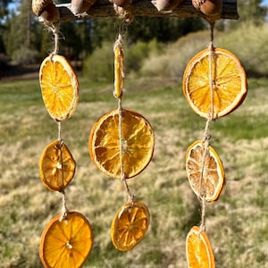 Citrus Sun Catcher, Litha Altar Decor, Witchy Garden Decor, Dried ...