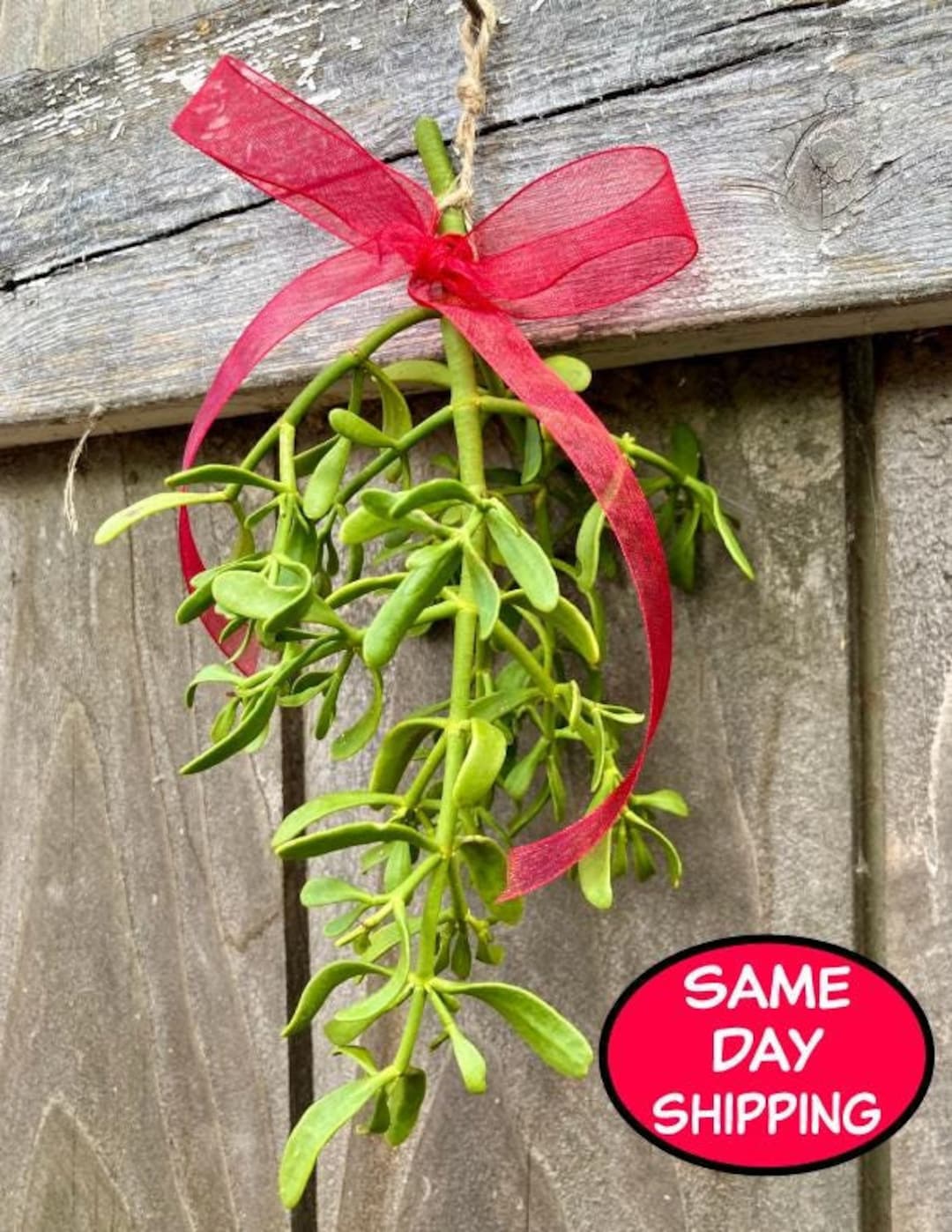 Natural Mistletoe, Christmas Mistletoe, Kissing Mistletoe, Wedding Decor, Mistletoe Branch ...