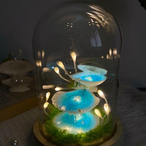 Fantastic Sea Clam Pearl Night Light Shell & Pearl Night Lamp Ocean ...