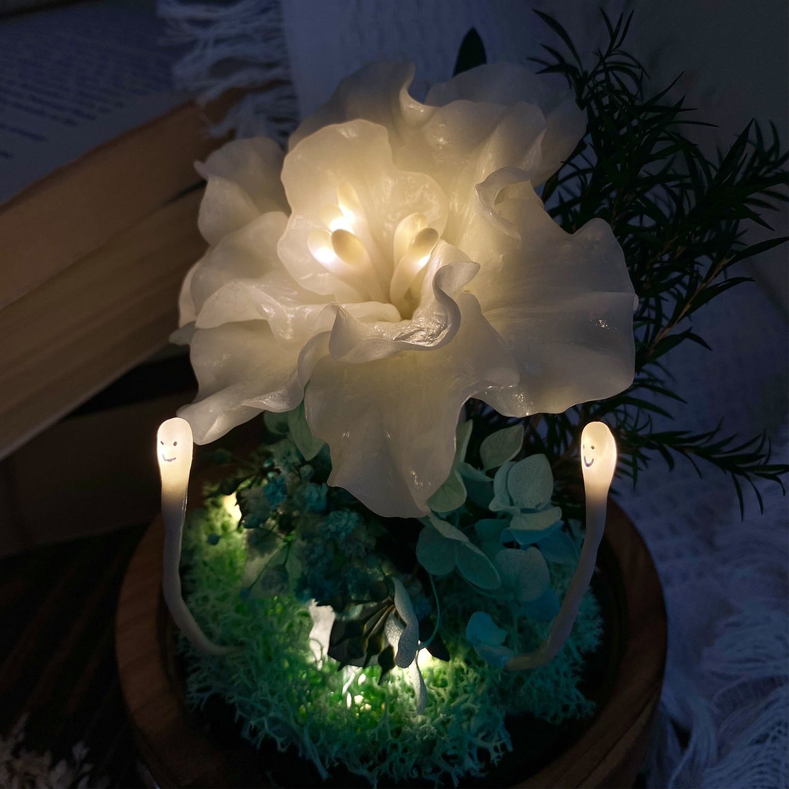 Enchanting Poppy Flower Night Light Handmade Flower Lights Birth Month ...