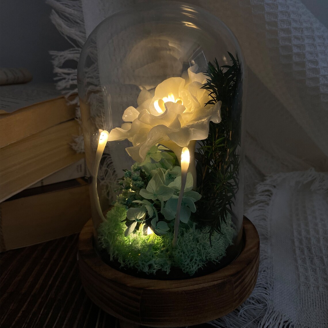 Enchanting Poppy Flower Night Light Handmade Flower Lights Birth Month ...