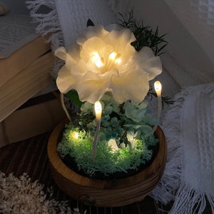 Enchanting Poppy Flower Night Light Handmade Flower Lights Birth Month ...
