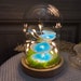 Fantastic Sea Clam Pearl Night Light Shell & Pearl Night Lamp Ocean ...