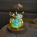 Fantastic Sea Clam Pearl Night Light Shell & Pearl Night Lamp Ocean ...
