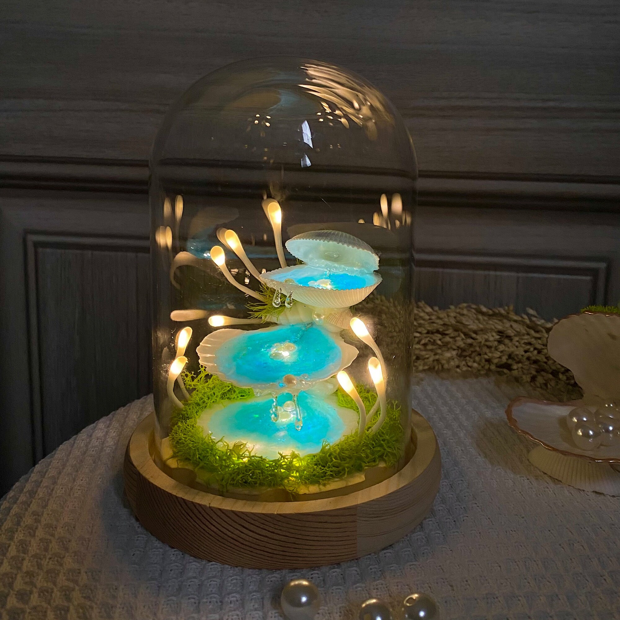 Fantastic Sea Clam Pearl Night Light Shell & Pearl Night Lamp Ocean ...