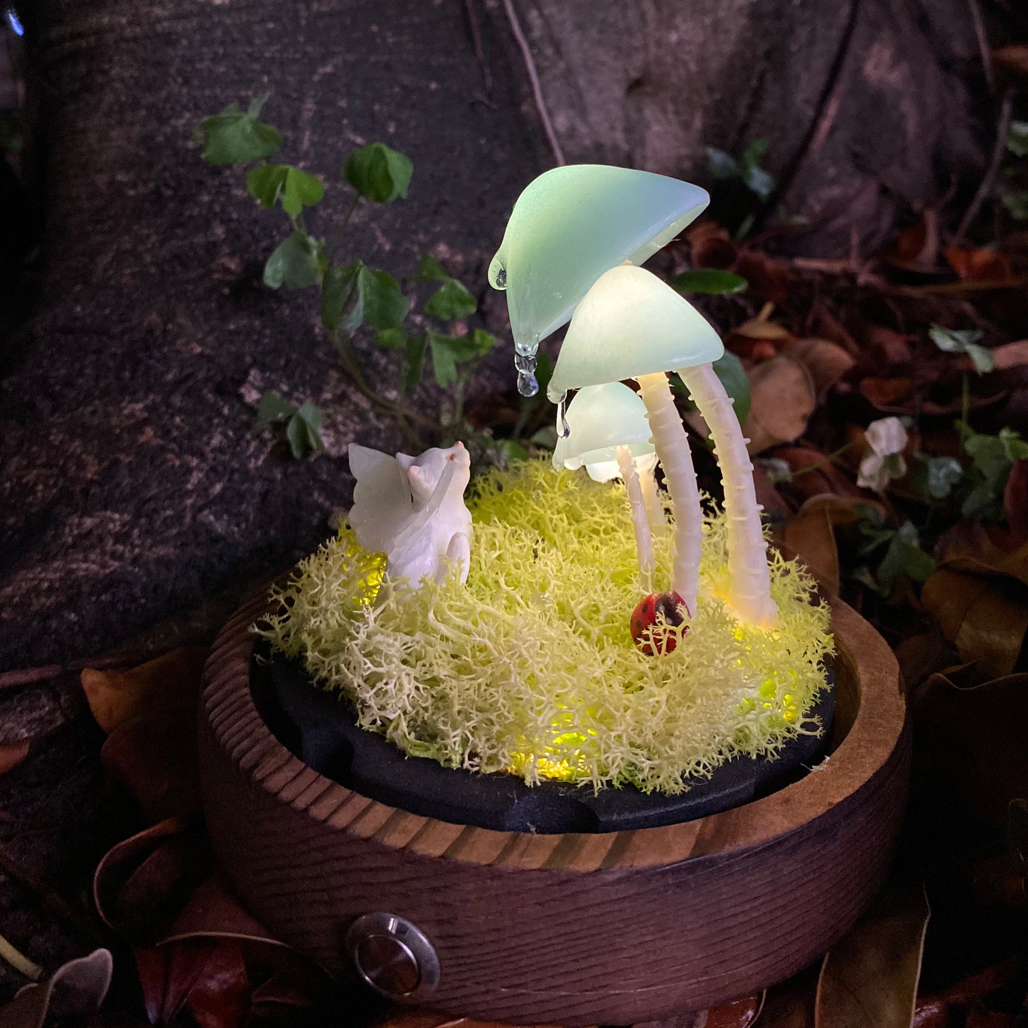 Handmade Mushroom Lamp Blue, Mushrooms Shelter the Angel Cat, Magic ...