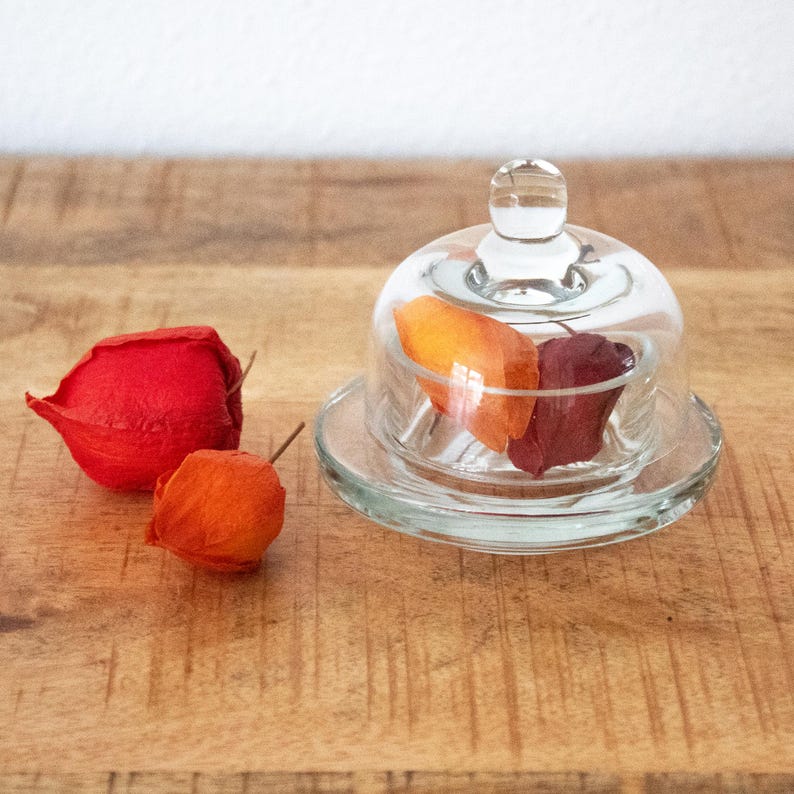 Vintage Glass Butter Bell Dish With Cloche Dome: Two Piece Kitchen ...