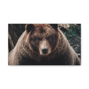 Alaskan Brown Bear Close up Photography Print - Etsy