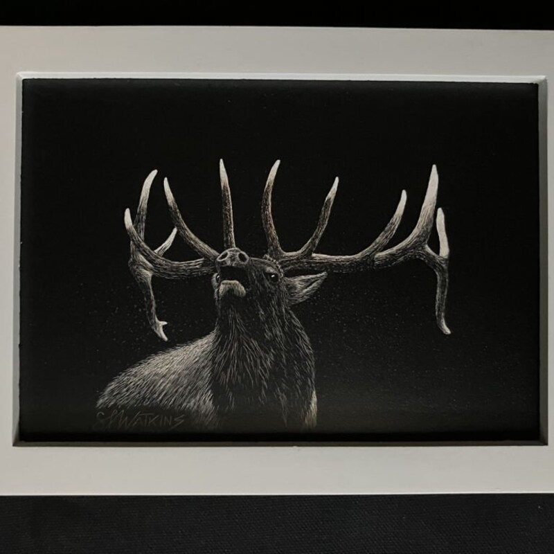 Scratchboard Art - Etsy