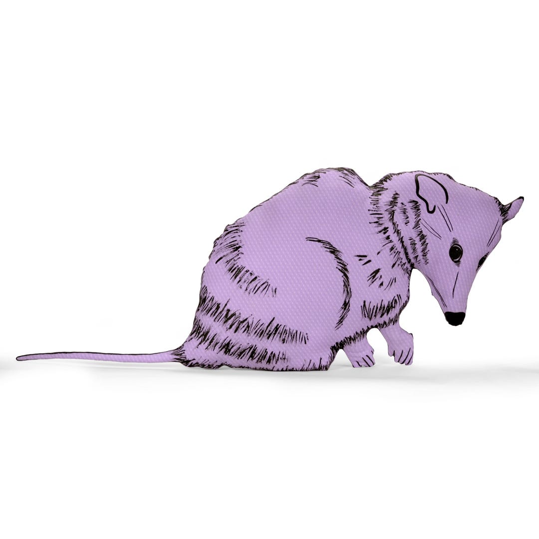 Hand-drawn Possum Pillow: Purple Graphic Cotton, Wildlife Decor - Etsy