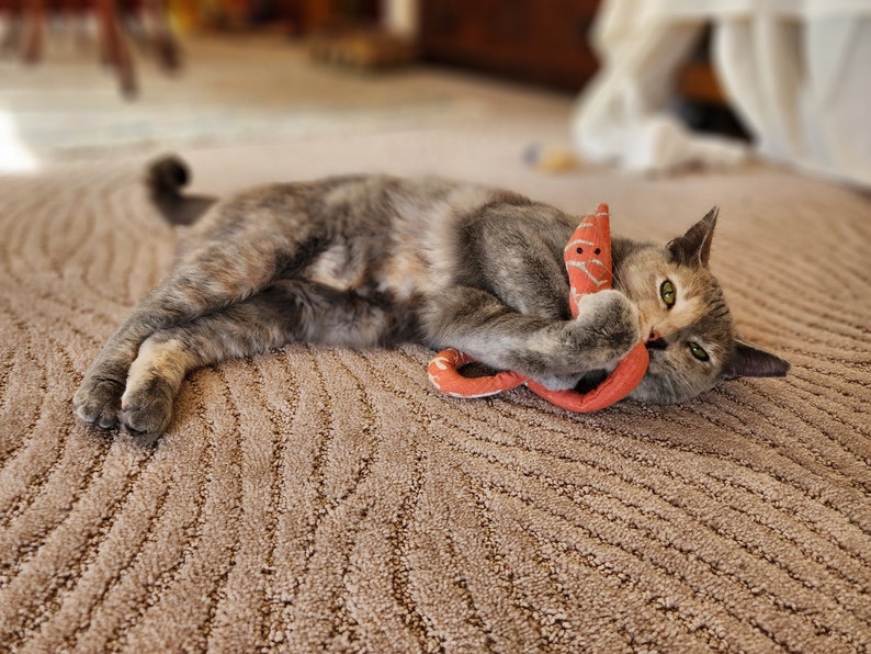 Cat Toy-catnip Snake-handmade Cat Toy-kitty Toy-catnip - Etsy Cat Toy-catnip Snake-handmade Cat Toy-kitty Toy-catnip - Etsy