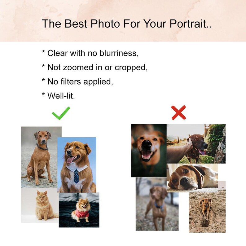 Custom Watercolour Pet Portrait – Multiple Animals Combined From ...