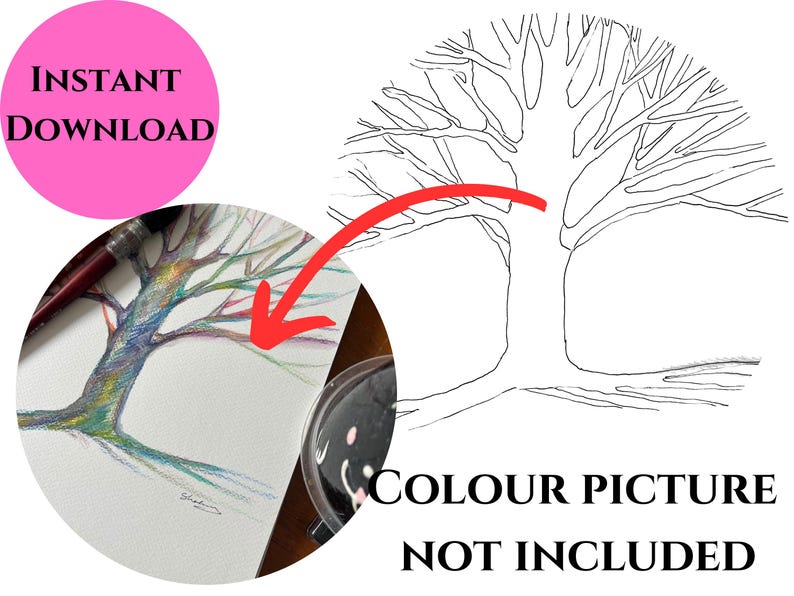 Printable Tree Outline for Coloring, A4 Template (digital Download) - Etsy