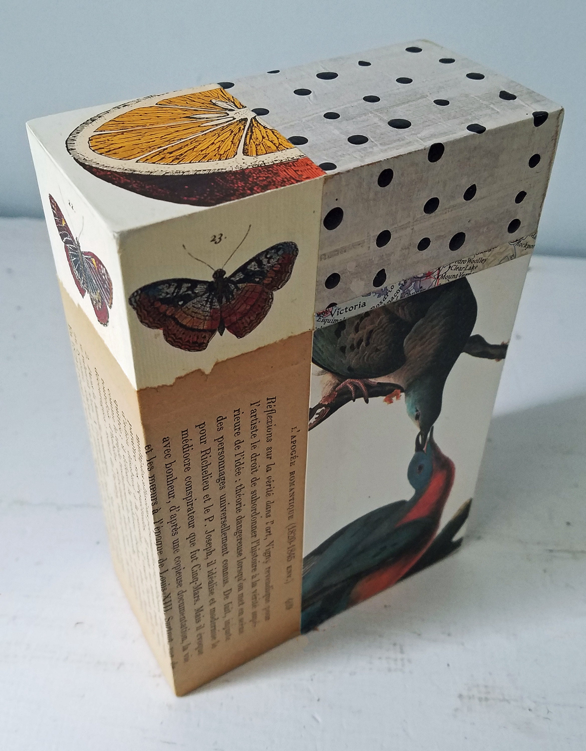 Original Art Collage 3D Collage Block Audubon Bird 1 - Etsy