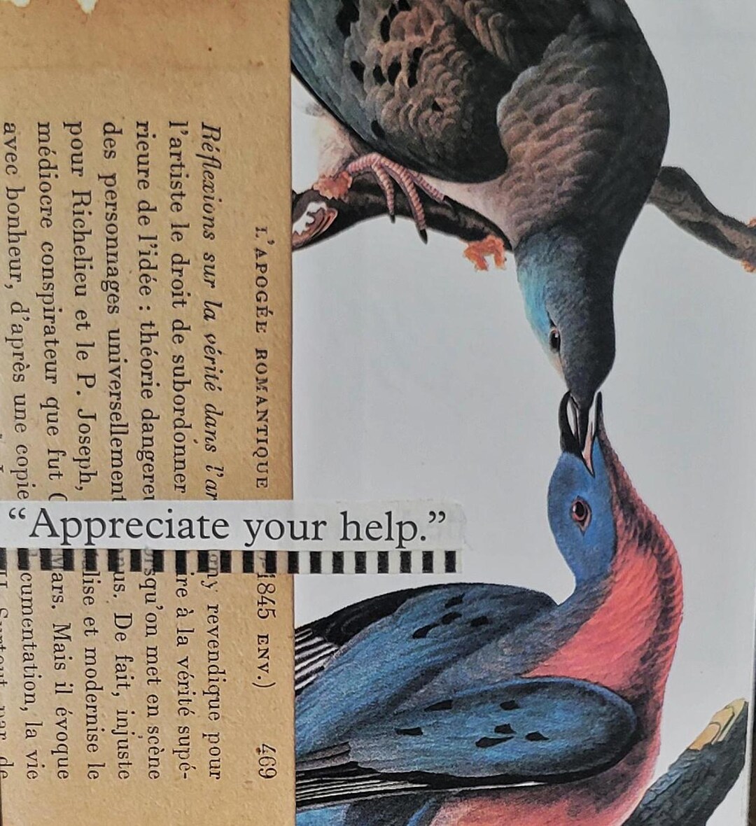 Original Art Collage - "bird Talk - Audubon Doves" - Etsy