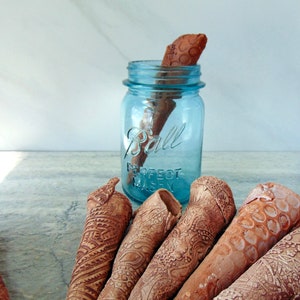 Ceramic Plant Water Spike, Maker's Choice, Indoor Planter Olla, Planter ...