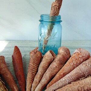 Ceramic Plant Water Spike, Maker's Choice, Indoor Planter Olla, Planter ...