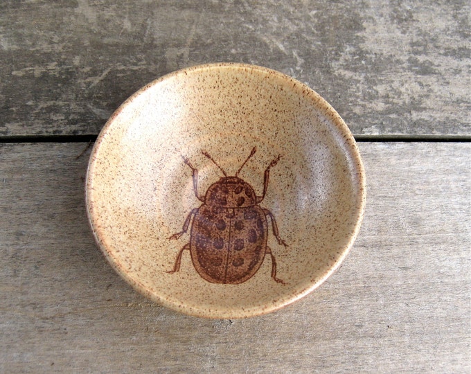 Wee Bug Bowl - Etsy