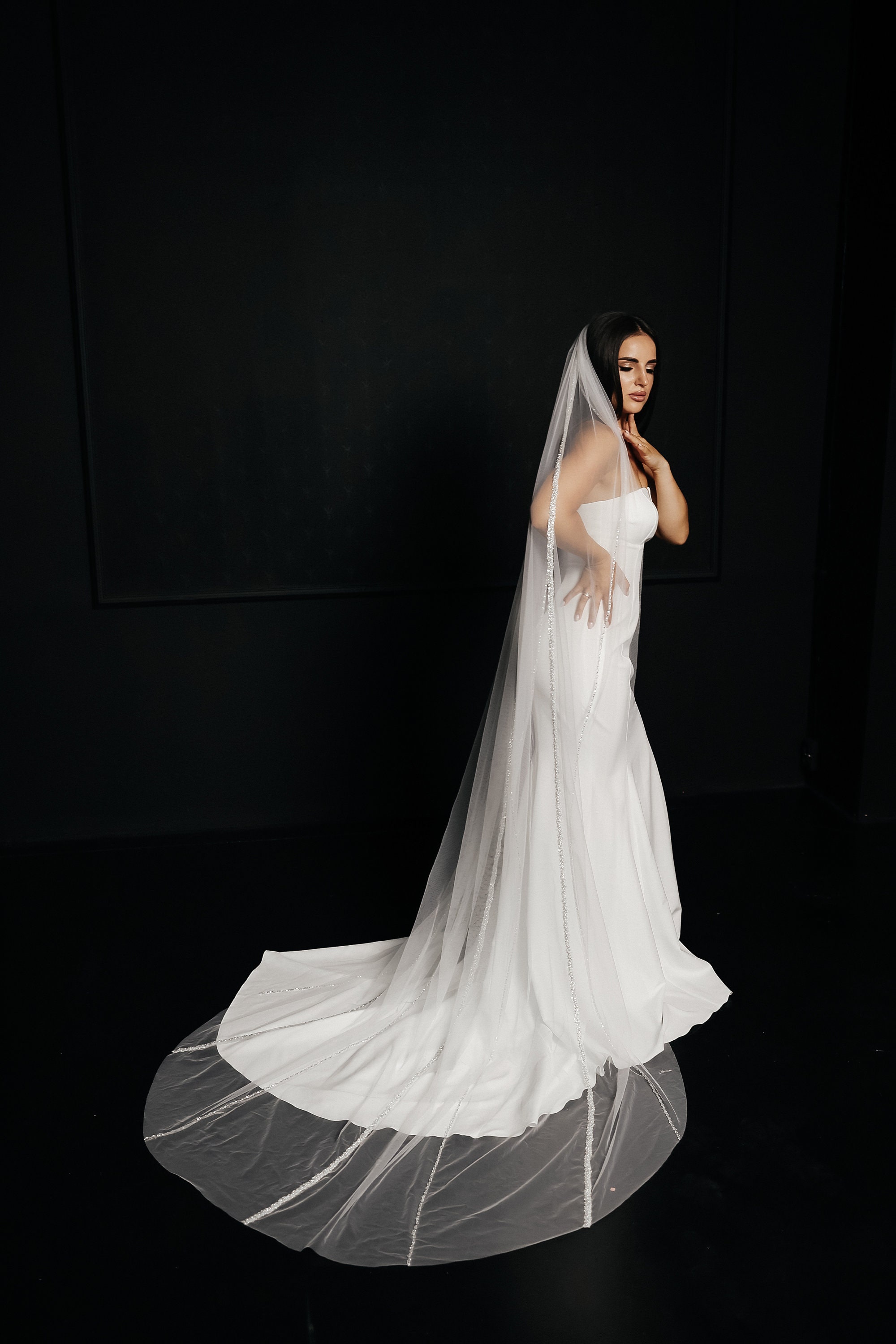 Silver Beads Veil, Crystals Wedding Veil, 1 Layer Crystals Veil, Veil ...