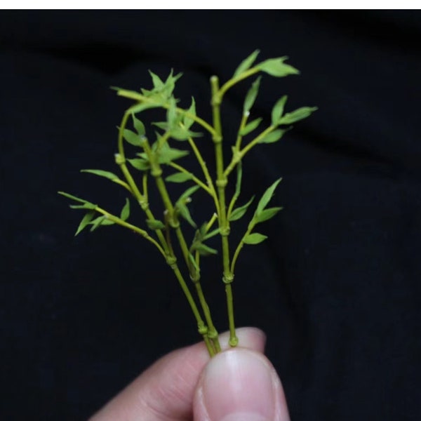 Miniature Bamboo - Etsy