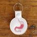 Anatomical Stomach Keychain With or Without Custom Text Two Sizes GI ...