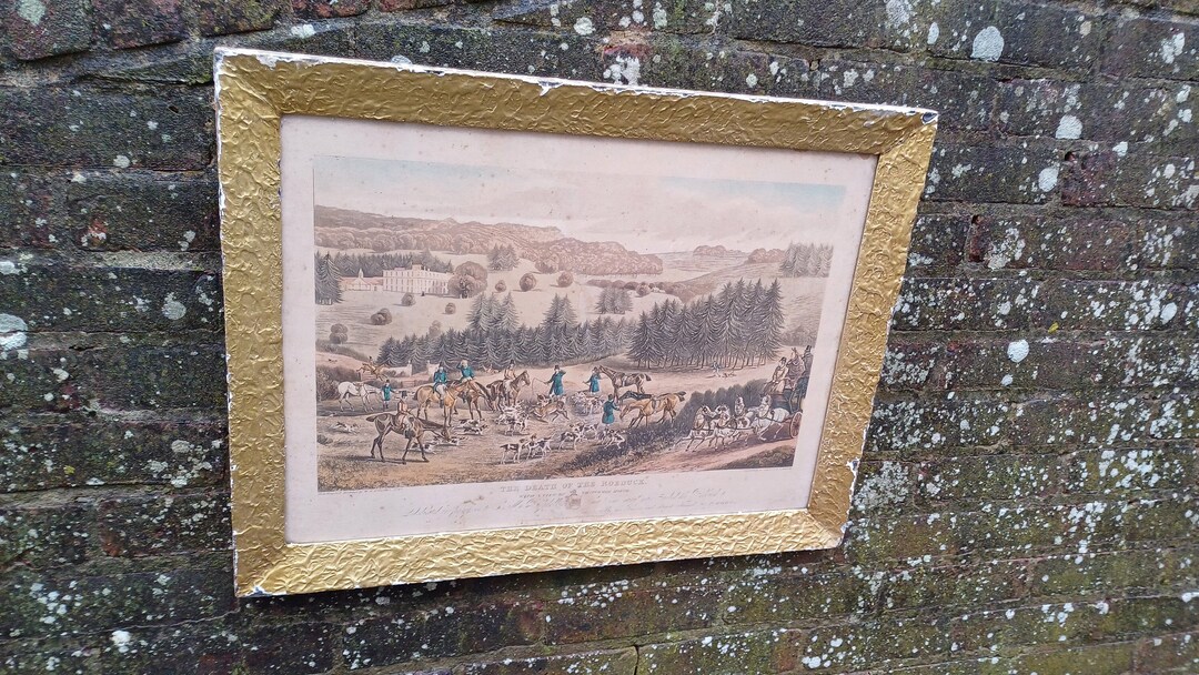 Antique Aquatint death of the Roebuck at Whatcombe House Drawing by W.P ...