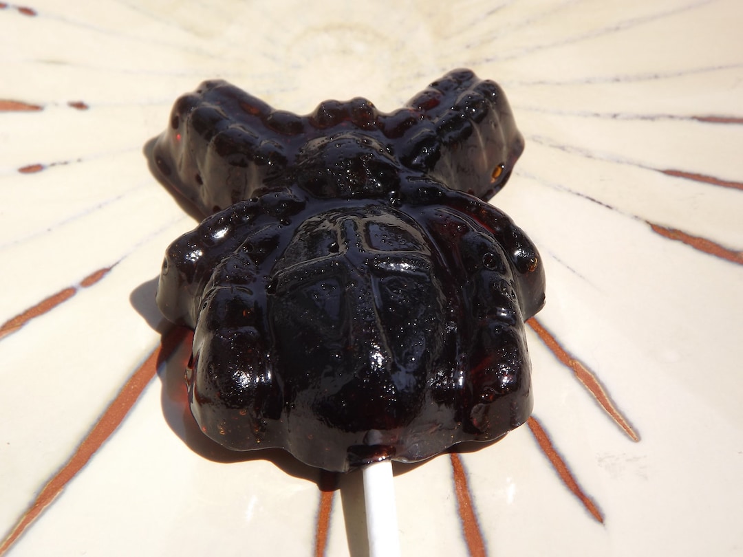 10 Spider Lollipops Bug Insect Halloween Creepy Legs Lollypop - Etsy